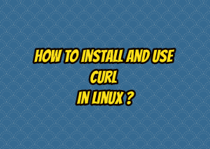 How To Install and Use curl In Linux (Ubuntu, Debian, Mint, CentOS)? – LinuxTect