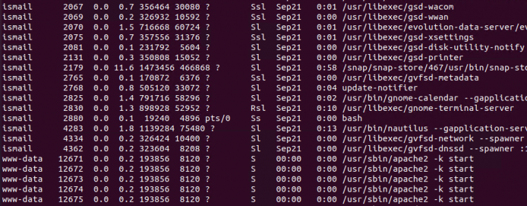 Linux Kill Command Tutorial Linuxtect