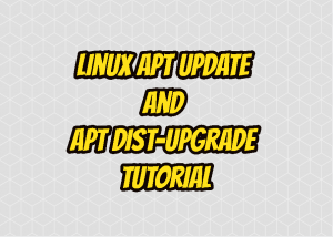 Linux apt update and apt dist-upgrade Tutorial – LinuxTect