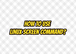 How To Use Linux Screen Command? – LinuxTect