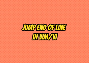 Move End Of Line In Vim/Vi – LinuxTect
