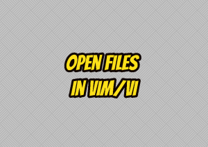 Open Files with Vim/Vi – LinuxTect