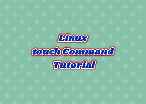 Linux touch Command Tutorial – LinuxTect