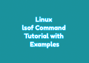 Linux lsof Command Tutorial with Examples – LinuxTect