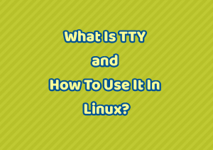 What Is TTY and How To Use It In Linux? – LinuxTect