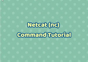 Netcat (nc) Command Tutorial – LinuxTect