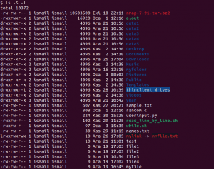 Linux ls Command Sort Files By Size – LinuxTect