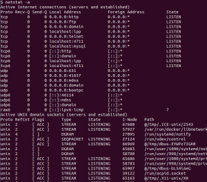 netstat Command Tutorial In Linux with Example – LinuxTect
