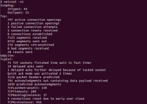 netstat Command Tutorial In Linux with Example – LinuxTect