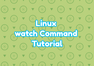 Linux watch Command Tutorial – LinuxTect