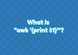 What Is “awk ‘{print $1}’”? – LinuxTect