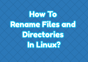 How To Rename Files and Directories In Linux? – LinuxTect