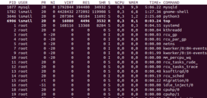 Linux Top Command Columns and Explanations – LinuxTect