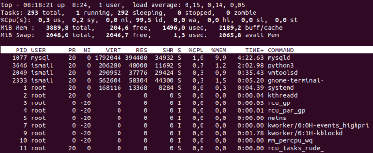 Check And Sort Cpu Usage With Top Command In Linux Linuxtect