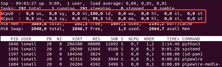 Check and Sort CPU Usage with Top Command In Linux – LinuxTect